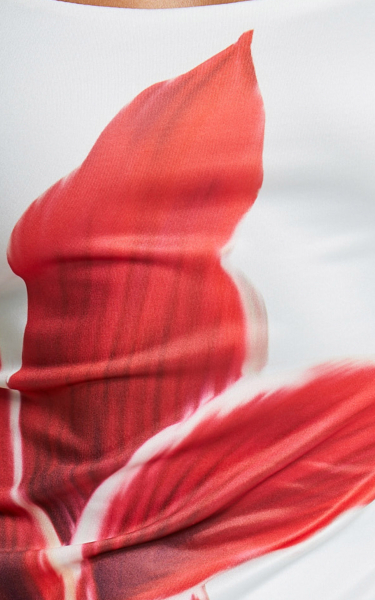 Runaway The Label - Deia Midi Dress in CRIMSON LILY